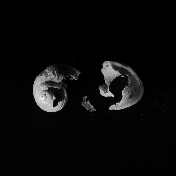Meet the artist: Intervista a Emiliano Zanichelli - Paratissima